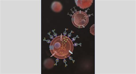 Powerful Tool Gathers Immune Response Data At Single Cell Level