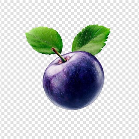 Page 40 Images De Cassis Fruit Téléchargement Gratuit Sur Freepik