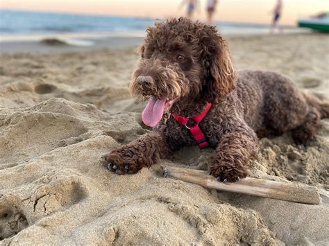 Howto Force Delete Kubernetes Namespace By Wolfram Laube Medium