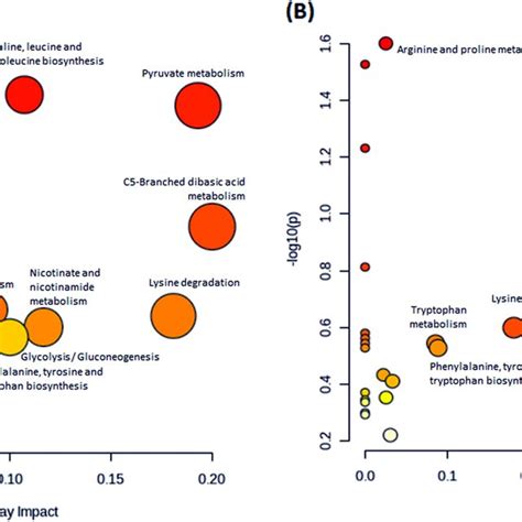Pathway Analysis Plot Of Metabolic Pathways Affected In Response To