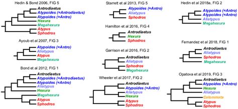 Summary Of Previous Molecular Phylogenetic Analyses Including Members