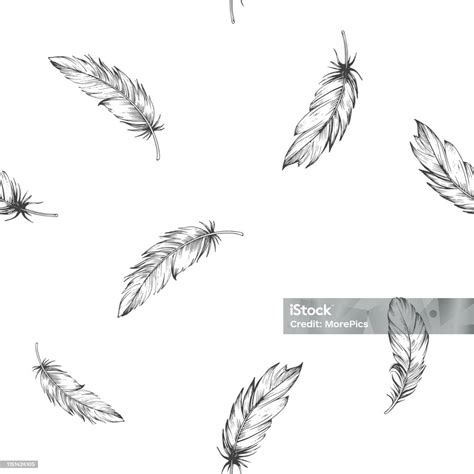 새 깃털의 회색 윤곽을 가진 완벽 한 패턴입니다 손으로 그린 벡터 일러스트 검은색에 대한 스톡 벡터 아트 및 기타 이미지 검은색 깃털 날기 Istock