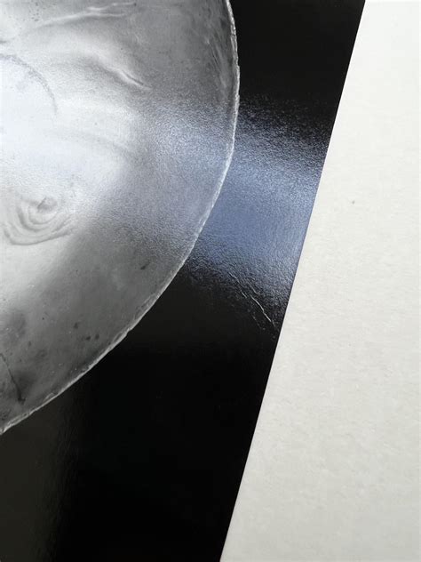 Edward Weston 2s Shell For Sale At 1stdibs Edward Weston Nautilus