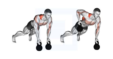 inverted row guide benefits and form