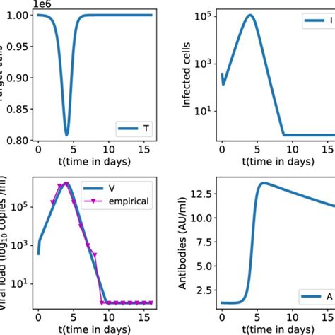 Numerical Simulation Of The First Infection Without Ade For Model Download Scientific Diagram