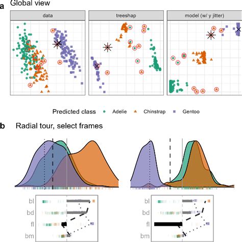 Exploring Local Explanations Of Nonlinear Models Using Animated Linear Projections
