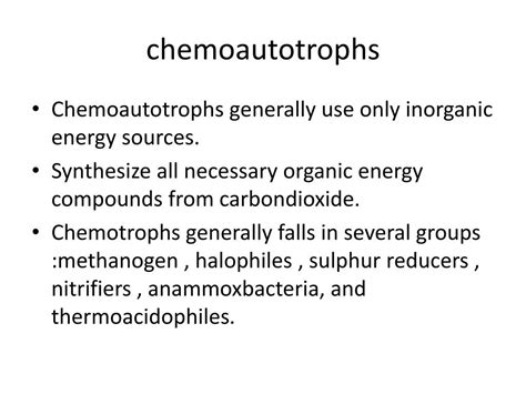 Ppt Chemotrophs Powerpoint Presentation Free Download Id1992435