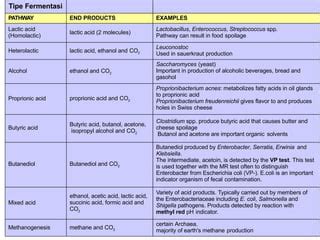 Biofermentasi Pertemuan 10 Produk Fermentasipptx
