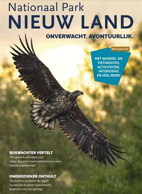 Marcel Versteeg Posted On Linkedin