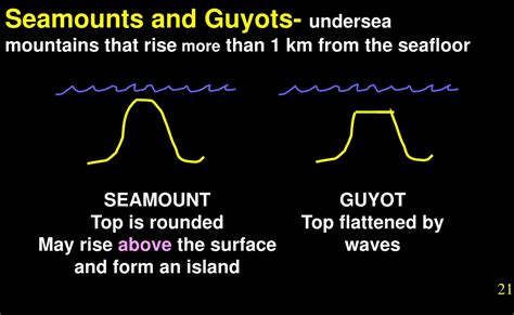 Ppt The Ocean Floor Powerpoint Presentation Free Download Id 1030192