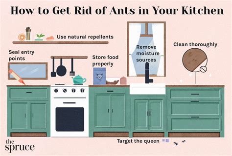 How To Get Rid Of Ants In Kitchen Quick And Effective Solutions Get