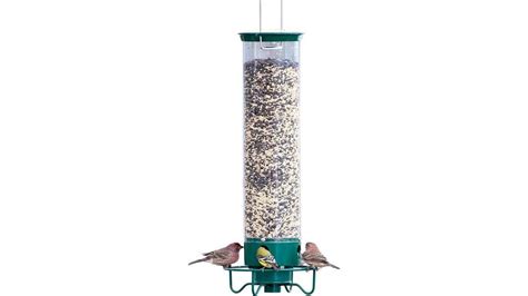 15 Best Squirrel Proof Bird Feeders To Keep Your Feathered Friends