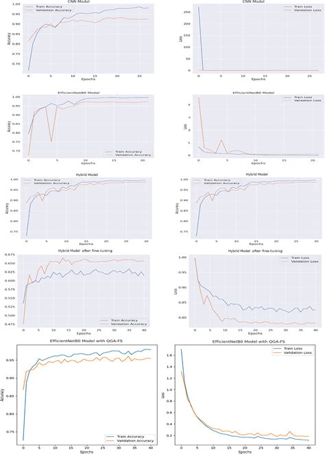 Hybrid Deep Learning Approach For Brain Tumor Classification Using Efficientnetb0 And Novel