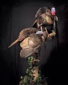 15 Turkey Ideas Taxidermy Decor Turkey Mounts Turkey Hunting