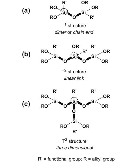 Schematic Presentation Of T I Silane Structures [72] Download