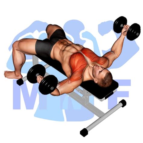 Reverse Fly With Bands A Guaranteed Back Building Exercise