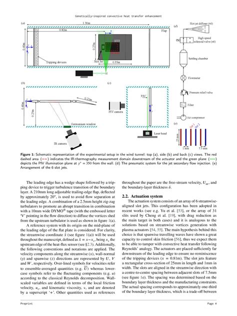 Genetically Inspired Convective Heat Transfer Enhancement In A