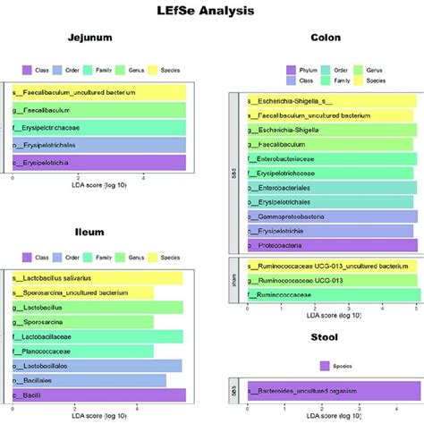 Lefse Analysis Comparing Sham And Sbs Animals Download Scientific
