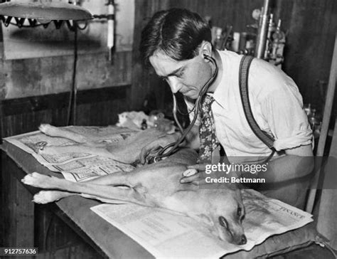 Cornish Scenes Photos Et Images De Collection Getty Images