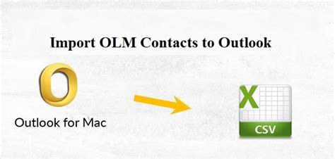 How To Export Contacts From Outlook To Excel Mac Complete Solution