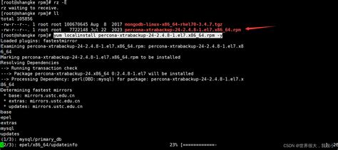 Centos7中mysql备份还原策略centos Mysql 恢复数据 Csdn博客