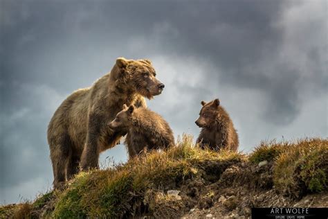 Art Wolfe A Master Of Capturing The Natural World And Cultural