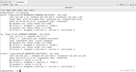 Linux上的DHCP服务器搭建 linux搭建dhcp服务器 CSDN博客
