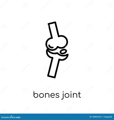 Bones Joint Icon Thin Linear Bones Joint Outline Icon Isolated On White Background From Human