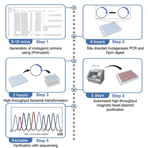 cell press star protocols