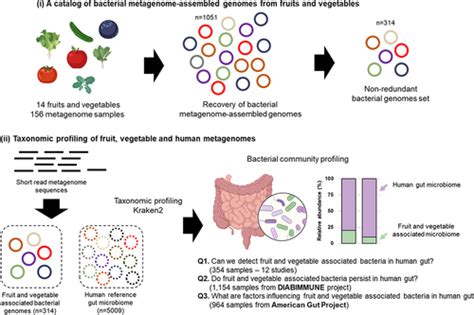 Full Article The Edible Plant Microbiome Evidence For The Occurrence
