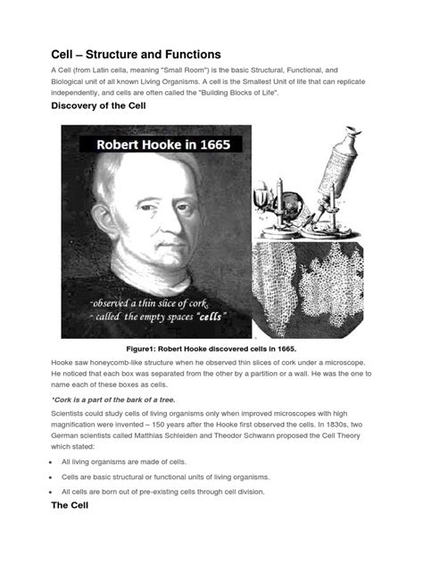 Notes Cell Structure And Functions Pdf Cell Biology Osmosis