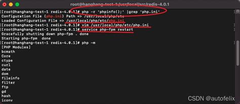 php安装redis扩展过程介绍 Redis 脚本之家