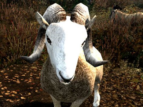 Sheep Flocks Patch For Mnc Se Misc Sex Loverslab