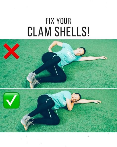 Clamshell Exercise