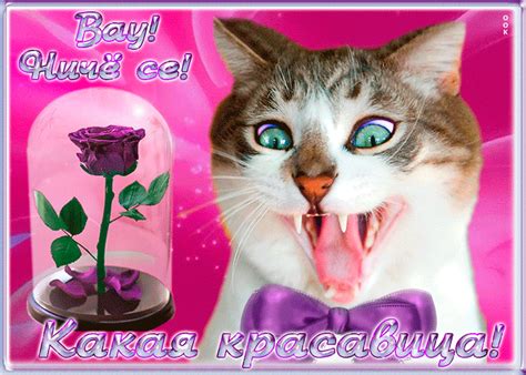 Ух ты какая красавица Скачать бесплатно на