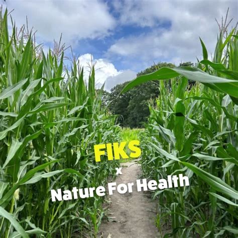 Jean Paul De Rek Posted On Linkedin