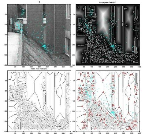 Example Of A Symmetric Axis Transformation Of A Contour Image Cyan