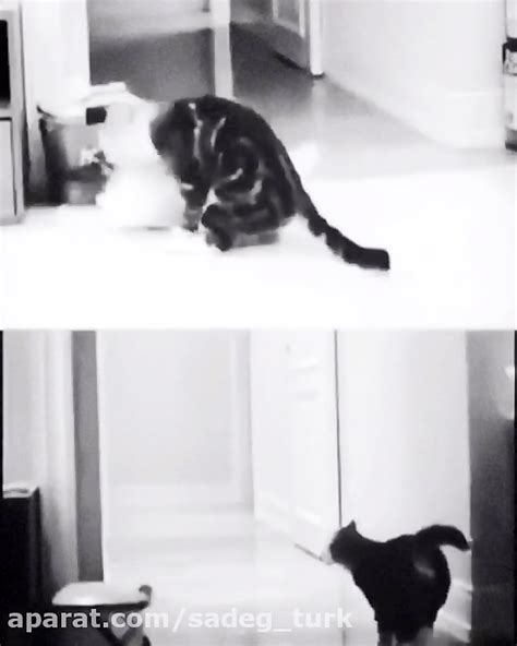 بهترین شعر هوشنگ ابتهاج