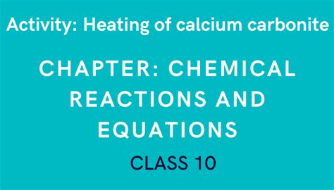 Types Of Venation In Plants Parts And Functions Class 6 Science Experiment