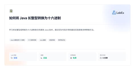 如何将 Java 长整型转换为十六进制 Labex