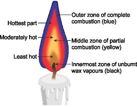 With The Help Of A Neat And Well Labelled Diagram Explain All The