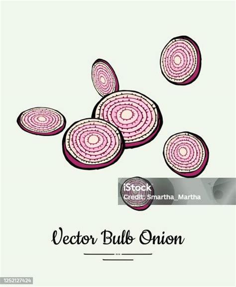 잘라 낸 전구 빨간 양파 반지 손으로 그린 벡터 일러스트레이션 모던 라인 잉크 야채 양파 포스터 로고 아이콘 스티커 개체 그룹에 대한 스톡 벡터 아트 및 기타 이미지