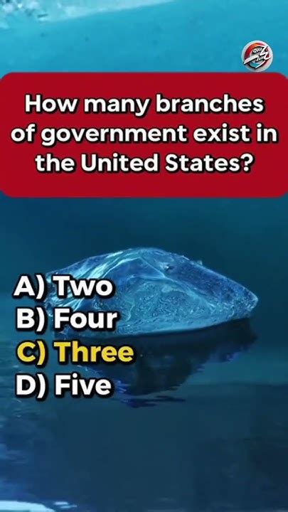 Knowledge Quiz Challenge Part 50newquiz Youtube