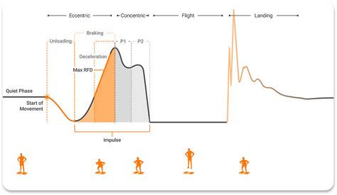 Analysing The Countermovement Jump Cmj Force Time Curve Part 1