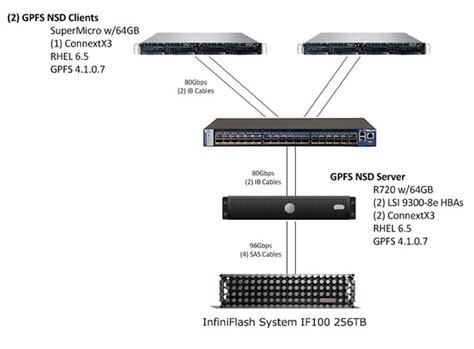 Figure 4 Single Gpfs Nsd Server With Two Gpfs Clients Western Digital