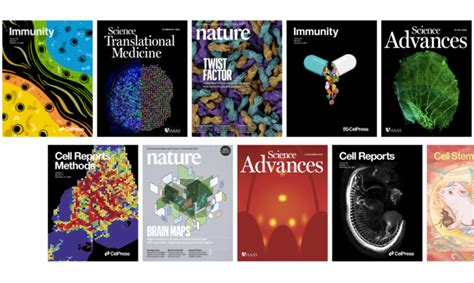 A Beginners Guide To Building Confidence In Single Cell Rna Seq 10x Genomics