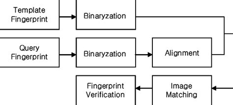 Structure Of Image Based Fingerprint Verification The Binarization