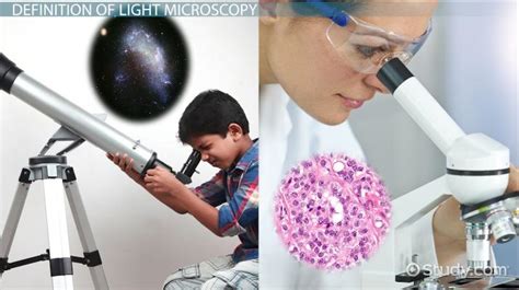 Light Microscope Definition Parts Function Lesson Study Com