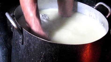 ყველის ამოყვანა2 მთაში Youtube