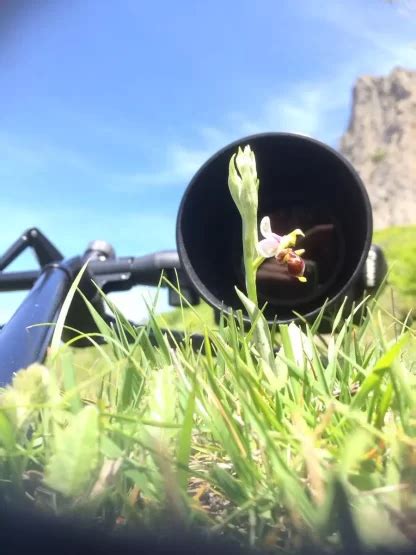 Classic Benbo Tripod No Paterson Photographic Equipment